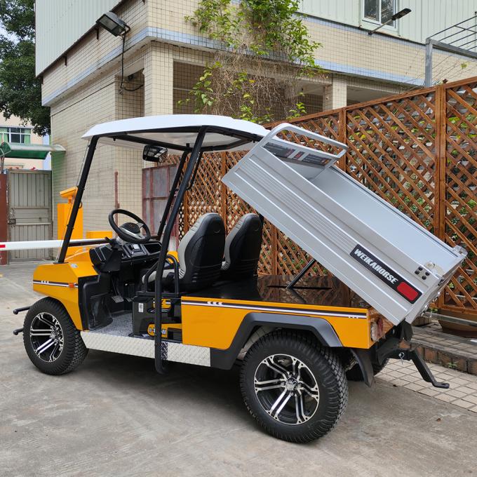 Excar newest utility car with cargo box