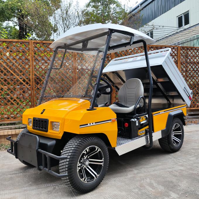 Excar newest utility car with cargo box