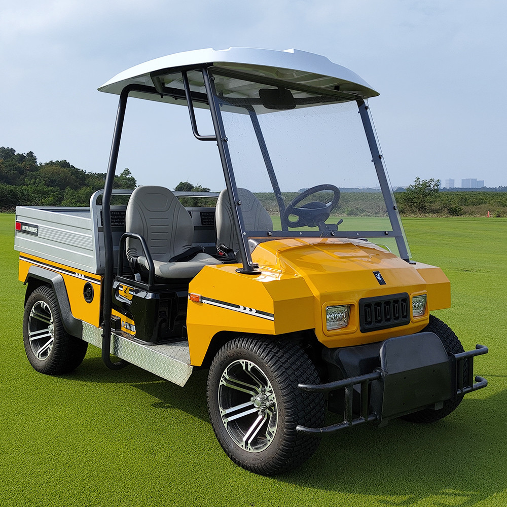 Quality Electric Golf Carts & Electric Golf Car factory from China