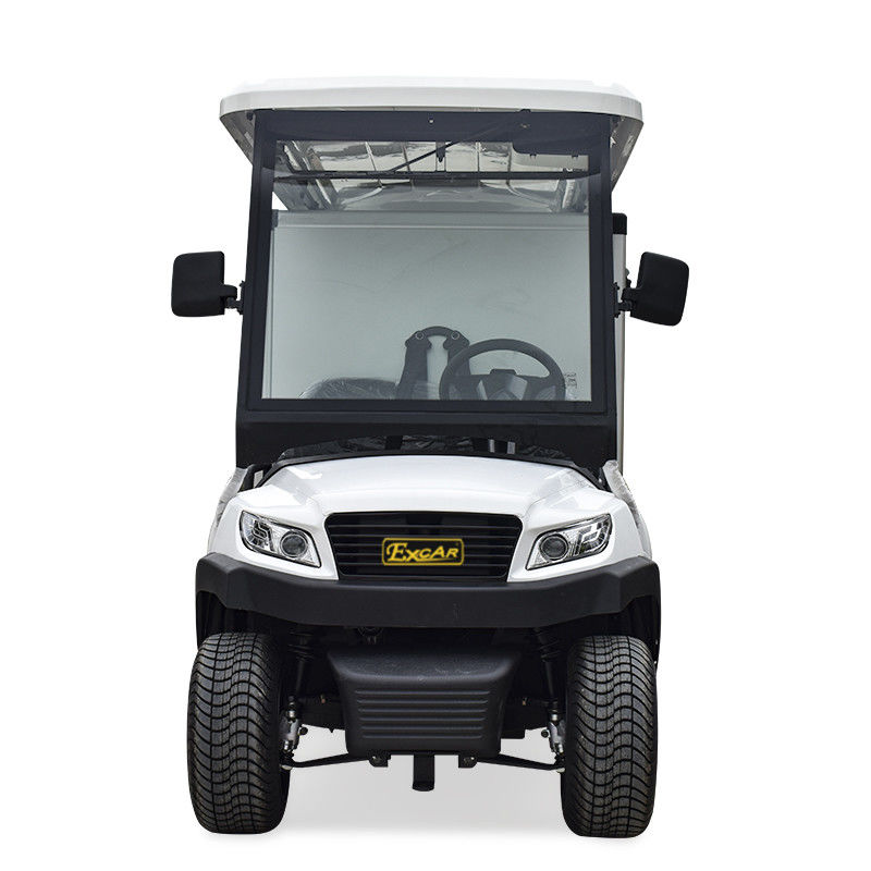 Mini Buggy Golf Car with Aluminum Cargo Box 30% Climbing Capacity 35km ...
