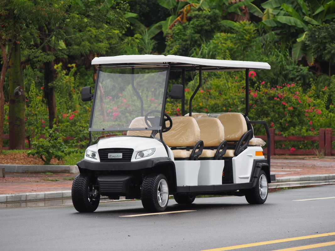 Safe & Strong Electric Golf Cart 6 front Seats & 2 back seats 5KW Motor ...