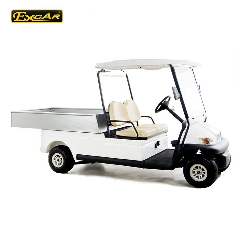 48V TROJAN Battery Electric Utility Car With Cargo Box for 2 Passengers ...
