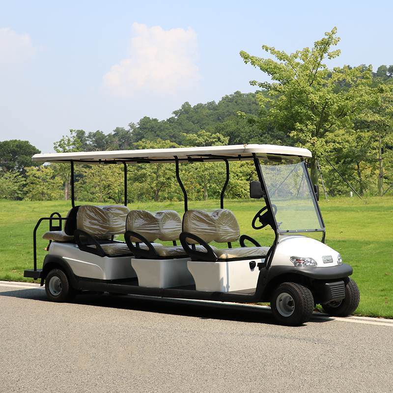 6 Seats & 2 Rear Eco-Friendly Cruiser Electric Golf Buggy with 48V ...