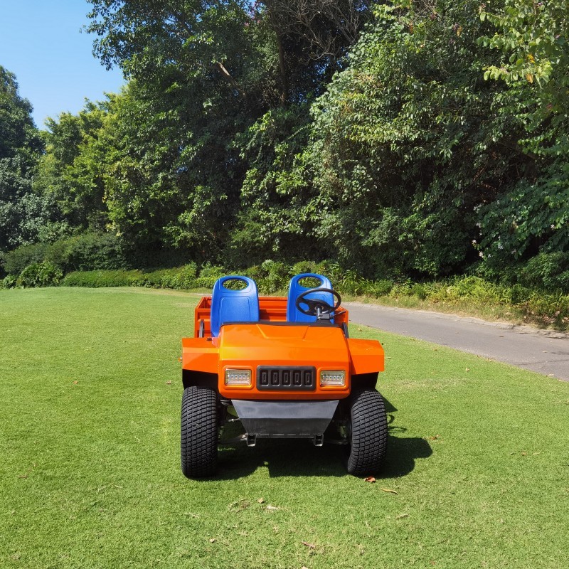 New Design 72V Electric Utility Buggy With Aluminum Cargo