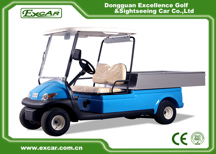 2 Seater Hotel Buggy Car , Electric Utility Golf Carts 100% Waterproof ...