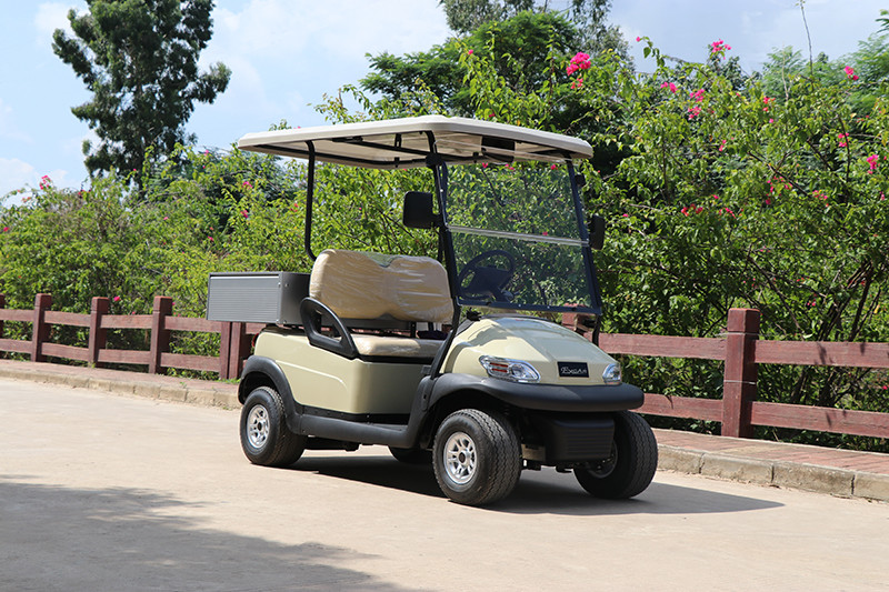 2 Seats Electric Golf cart With Aluminum Cargo Box 560KG Weight Capacity