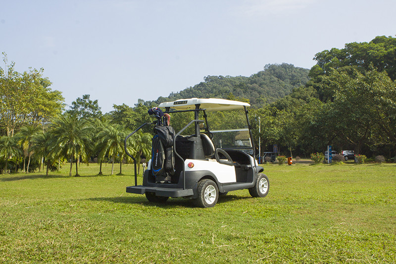 Excar Dual-Seat Electric Golf Cart 48V Lithium Battery
