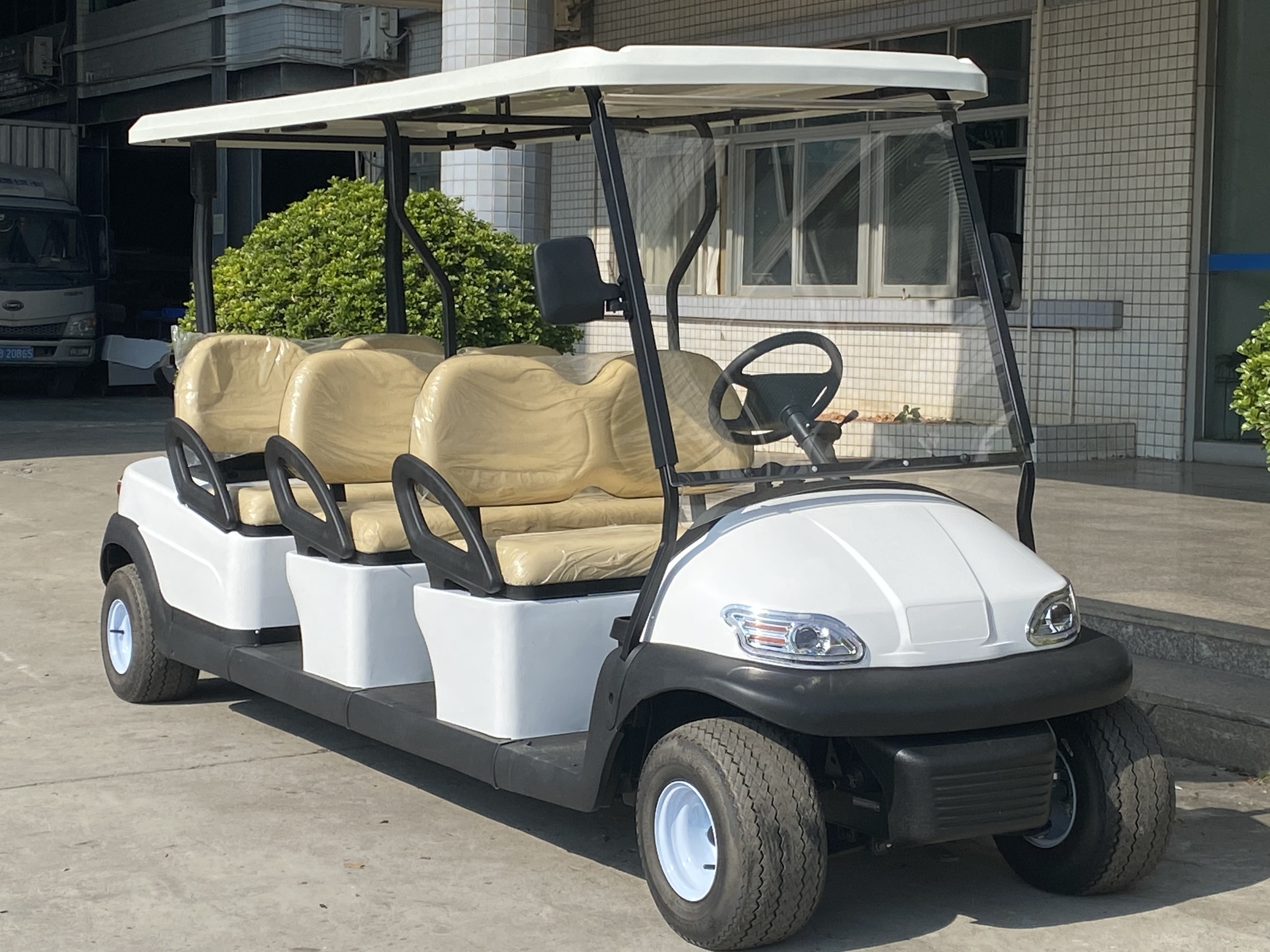 Smooth Ride 6 Passenger Electric Golf Buggy with Trojan Battery