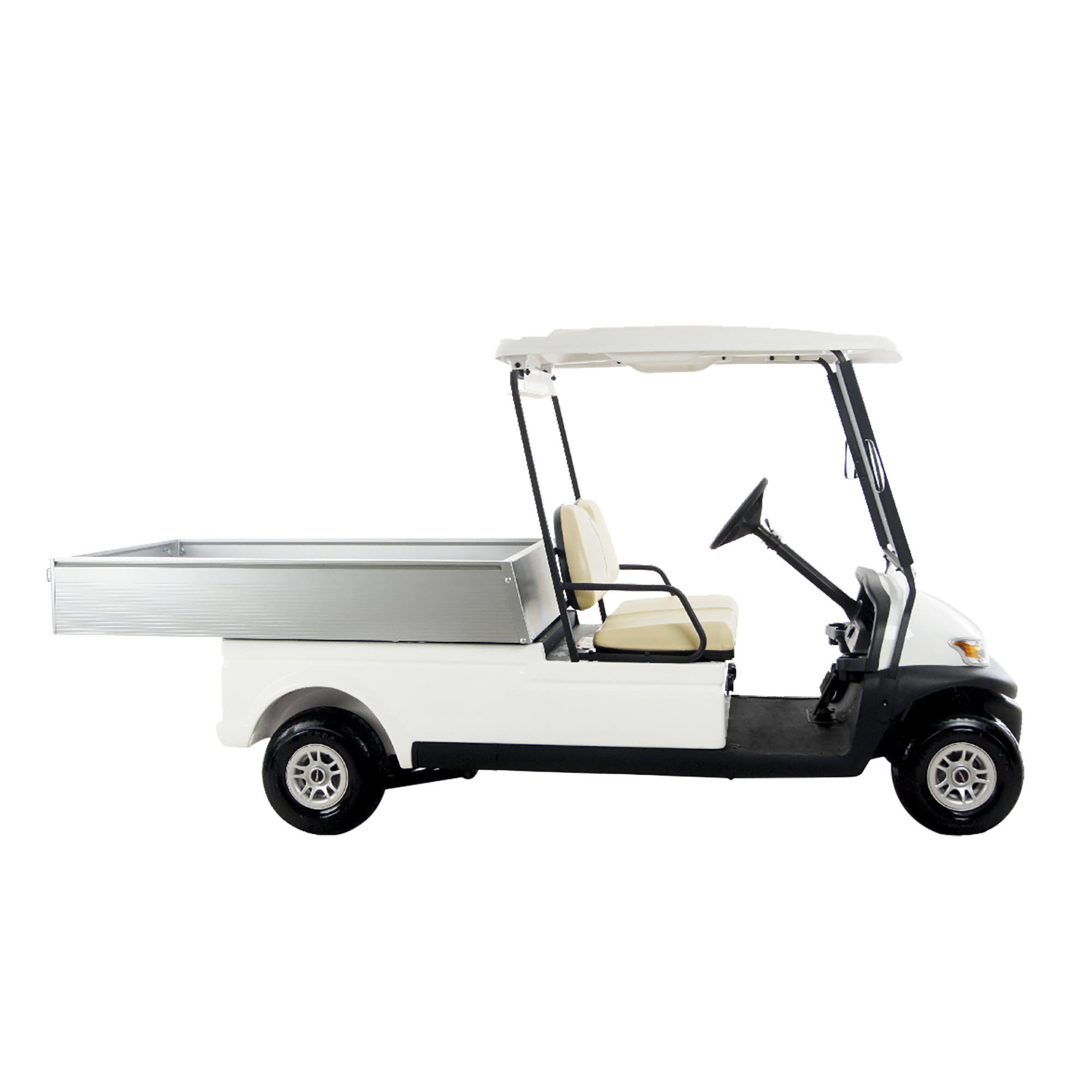2 Passenger Electric Utility Car With Cargo Box