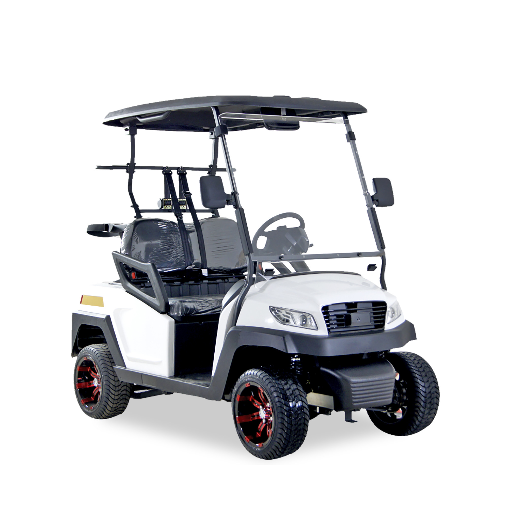 Electric Golf Buggy 2 Passenger with Intelligent Onboard Charger