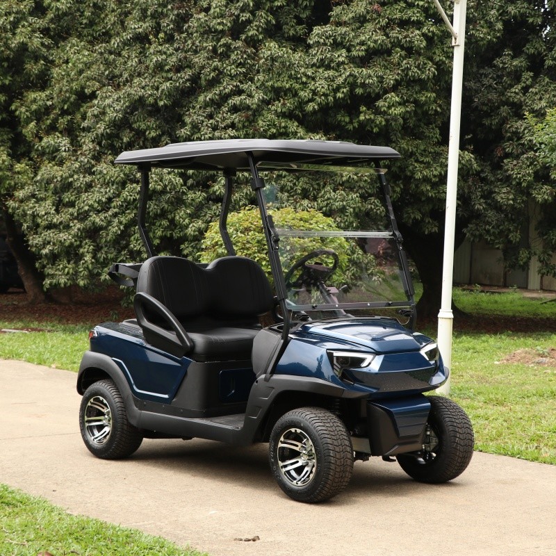 Duodrive Electric Golf Buggy 48V WIth Curtis Controller 400A