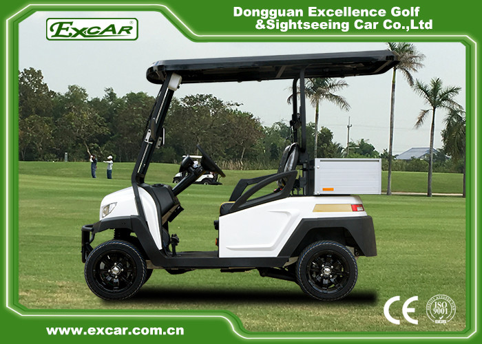 EEC Approved Electric Golf Carts / White Plastic 5KW AC Golf Buggy Car