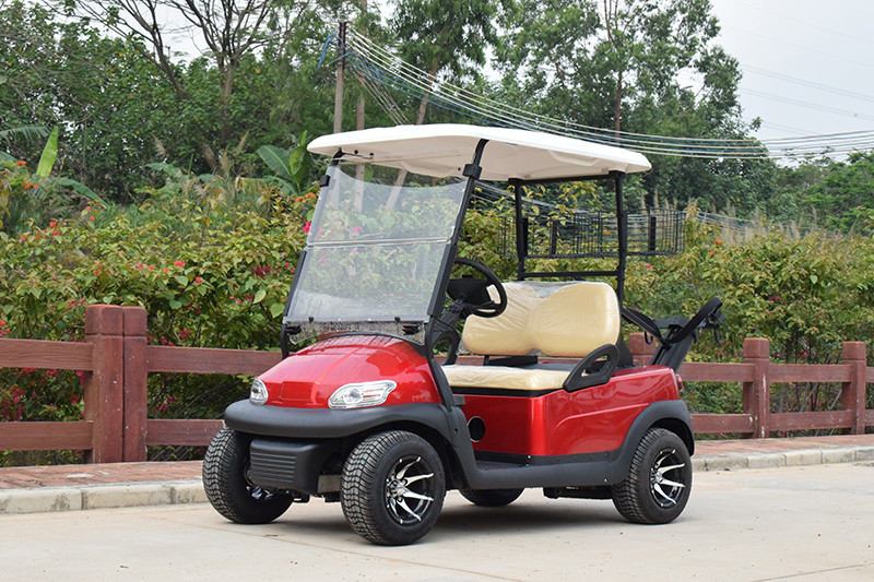 2 Person Electric Golf Carts Club Electric Buggy With Golf Bag Bracket ...