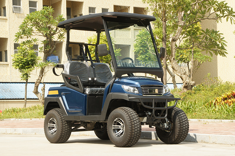 Four Wheels 2 Passengers Electric Golf Buggy 48V Battery Powered