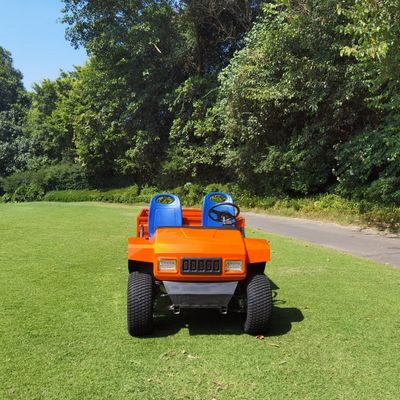 Electric Golf Carts factory, Buy good quality Electric Golf Carts ...
