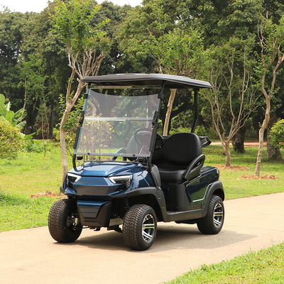 2 Seat Electric Golf Cart 48V Lithium Battery Support Long Range