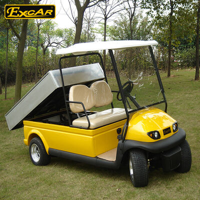 Quality Electric Golf Carts & Electric Golf Car factory from China